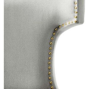 Rosdorf Park Giano Velvet Wing Back Parsons Chair | Wayfair