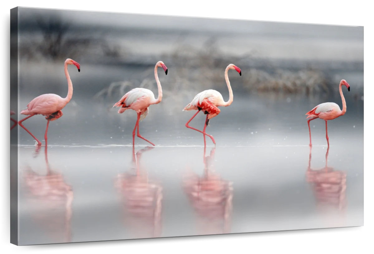 Ebern Designs Pink Flamingos Lined Up - Wayfair Canada
