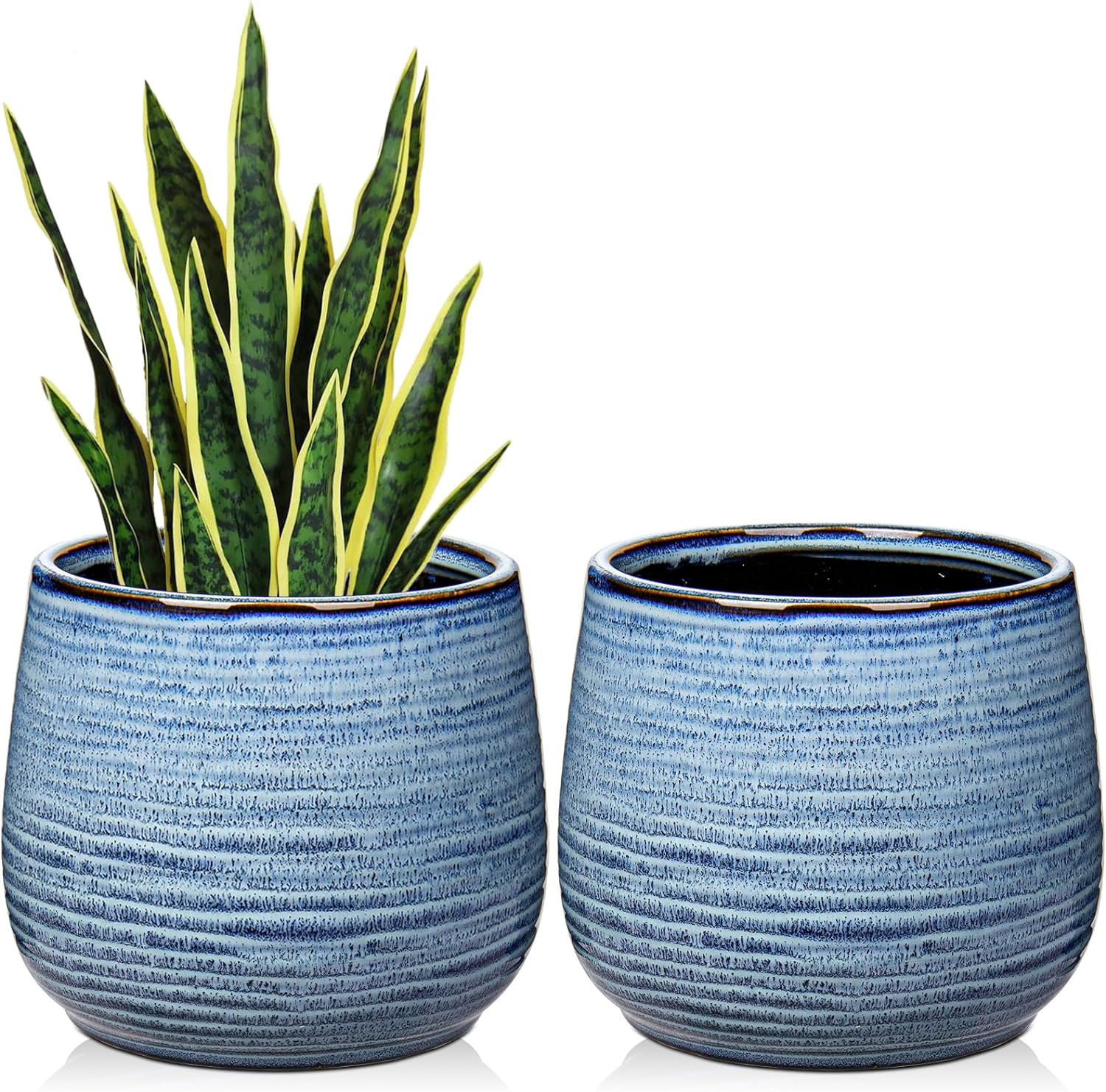 Highland Dunes 6" Ceramic Planters Set Of 2 Blue Pots With Drainage ...