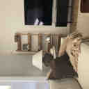 AllModern Iris TV Stand for TVs up to 65" & Reviews | Wayfair