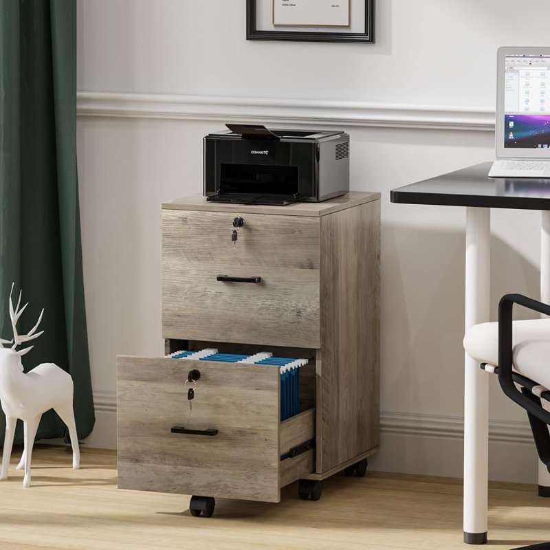 Wade Logan® Brandice 15.75'' Wide 2 -Drawer Mobile File Cabinet ...
