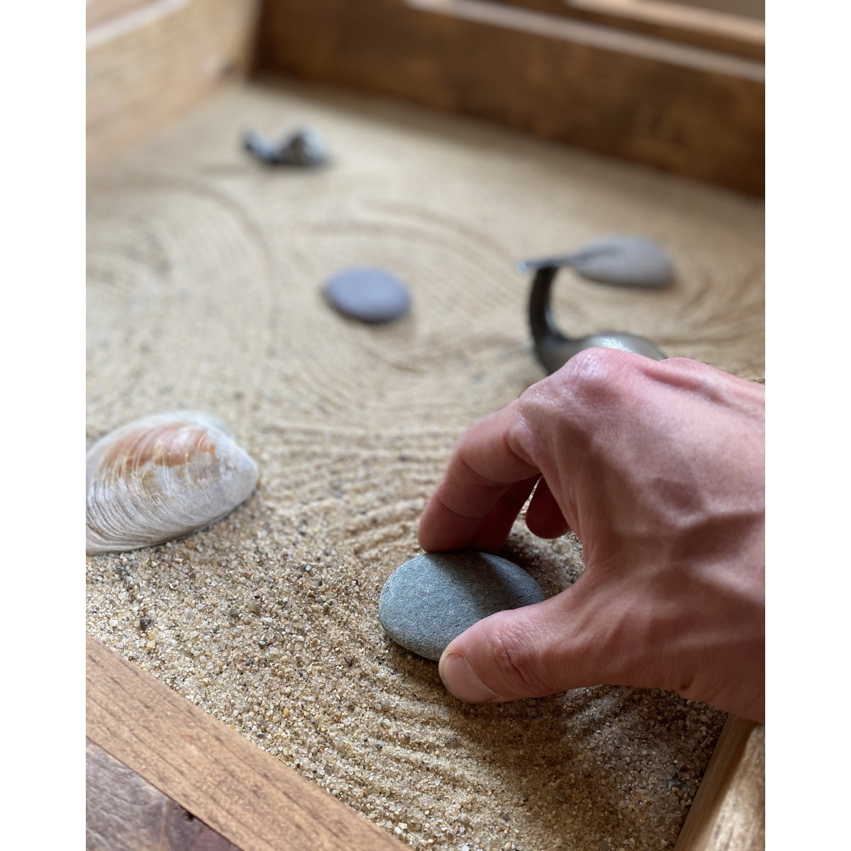 Millwood Pines 25x37" Rustic Display Table With Removable Glass Top ...