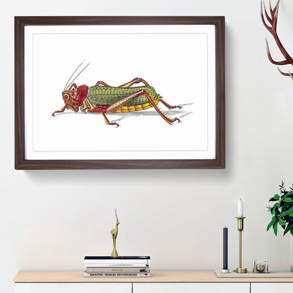 East Urban Home Granulated Locust by George Shaw - Picture Frame ...