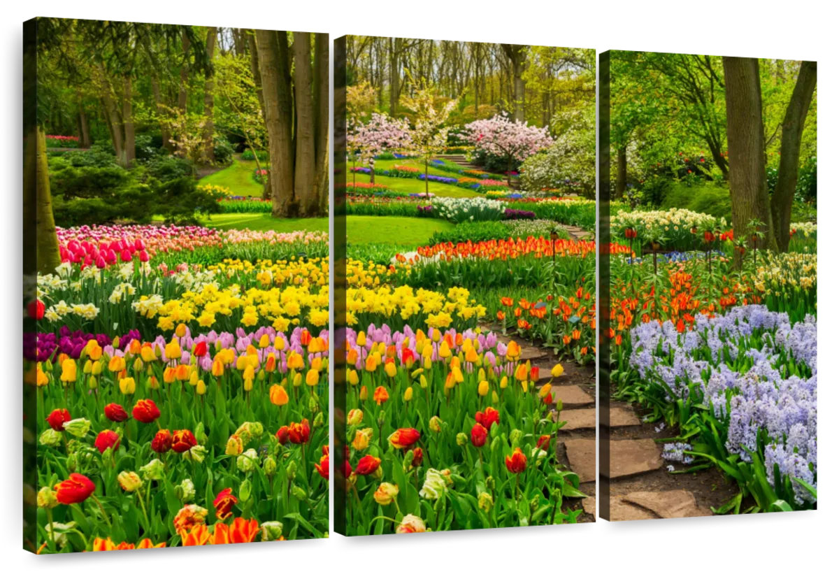 Lark Manor™ Harnek Spring Tulip Flowers | Wayfair