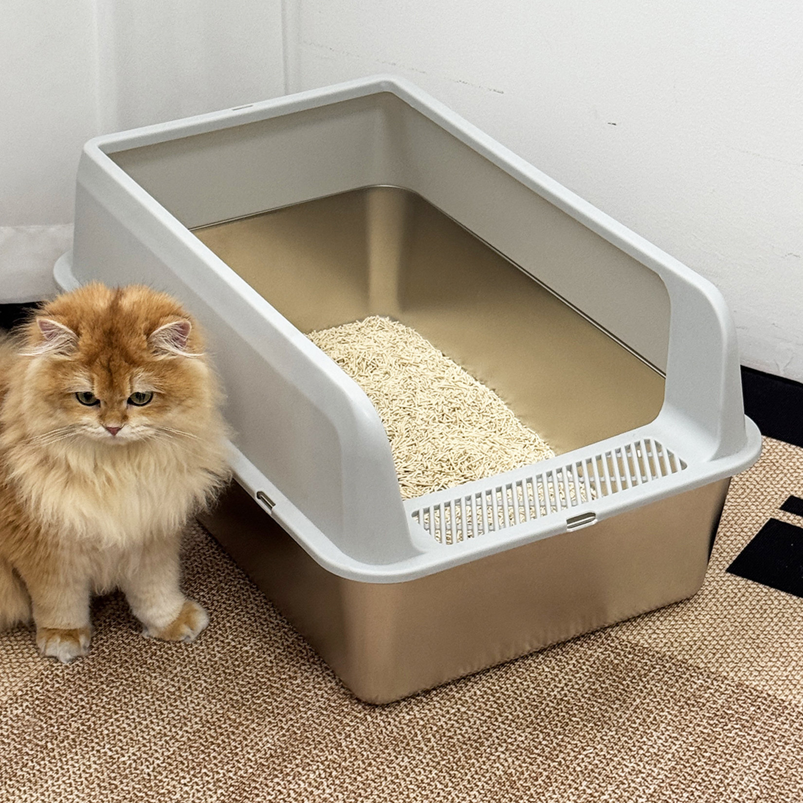 Tucker Murphy Pet™ Stainless Steel Litter Box With High Sided Lid ...