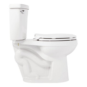 Signature Hardware Bradenton 1.28 GPF Two Piece Round Toilet with 10 ...