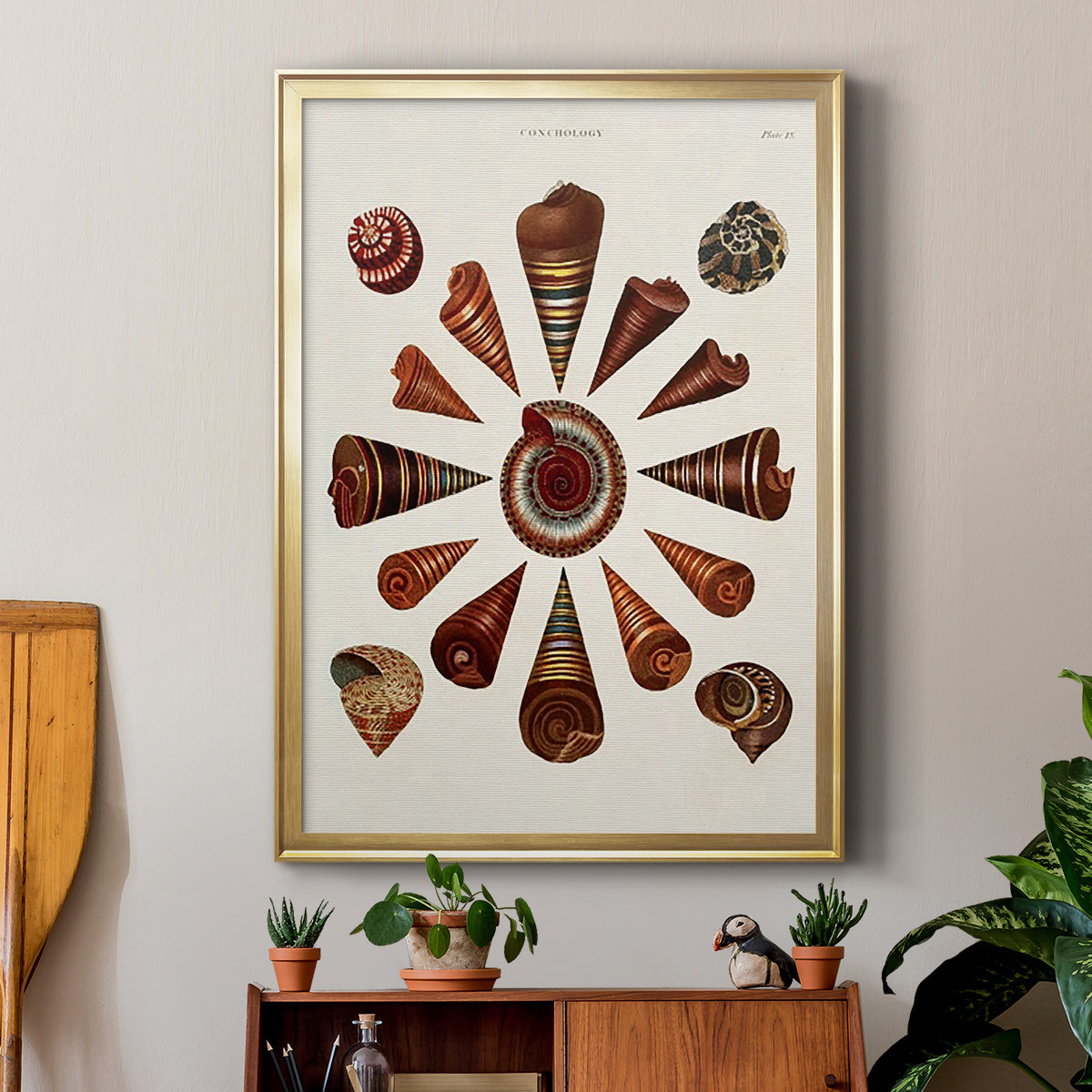 Dovecove Spiral Shell Formation IV Premium Framed Print - Ready To Hang ...