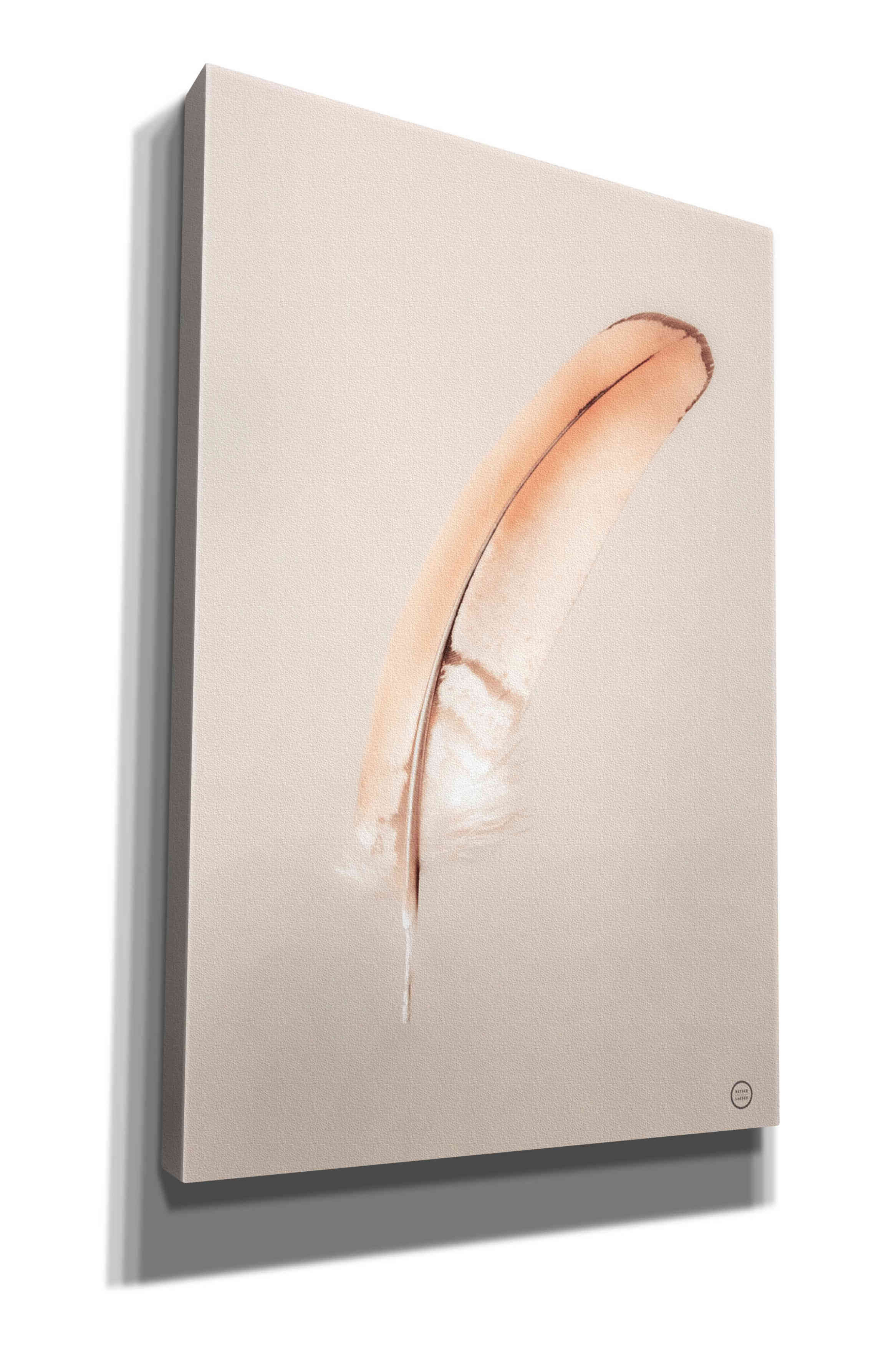 Dakota Fields Floating Feathers III by Nathan Larson - Wrapped Canvas ...