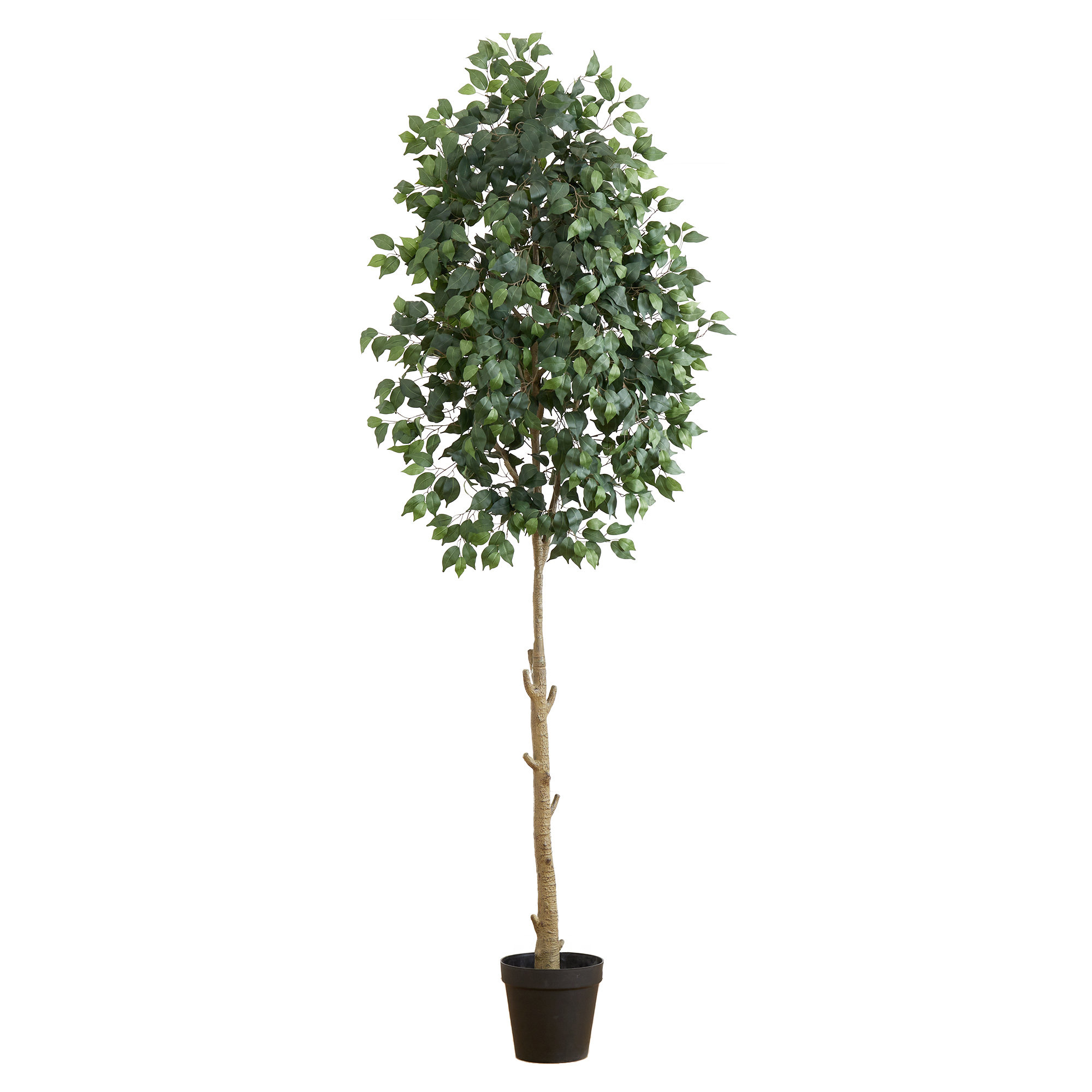 Primrue 108'' Faux Ficus Tree in Pot | Wayfair