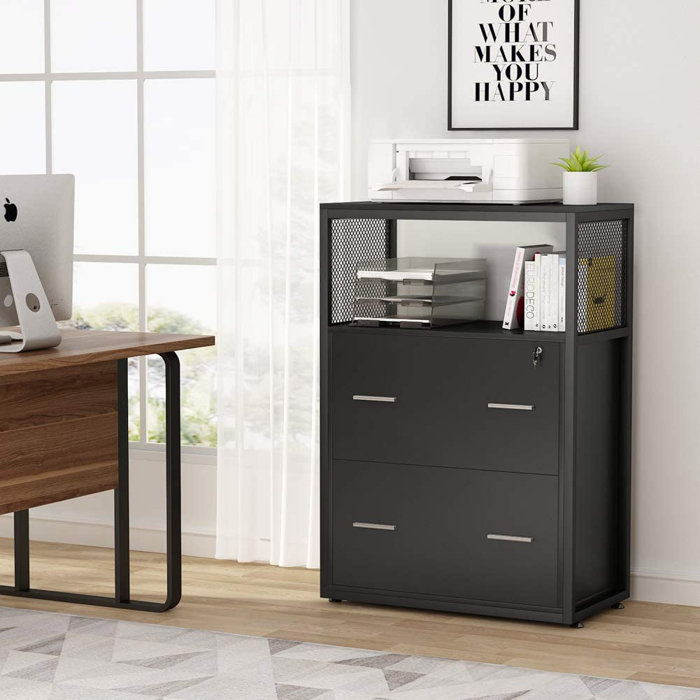 Inbox Zero 23.6'' Wide 2 -Drawer File Cabinet & Reviews | Wayfair