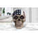Trinx 6"W Skull Head with US Flag Bandana Statue Fantasy Decoration ...