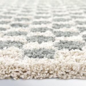 AllModern Walker Checkered Sage/Cream Shag Area Rug & Reviews | Wayfair