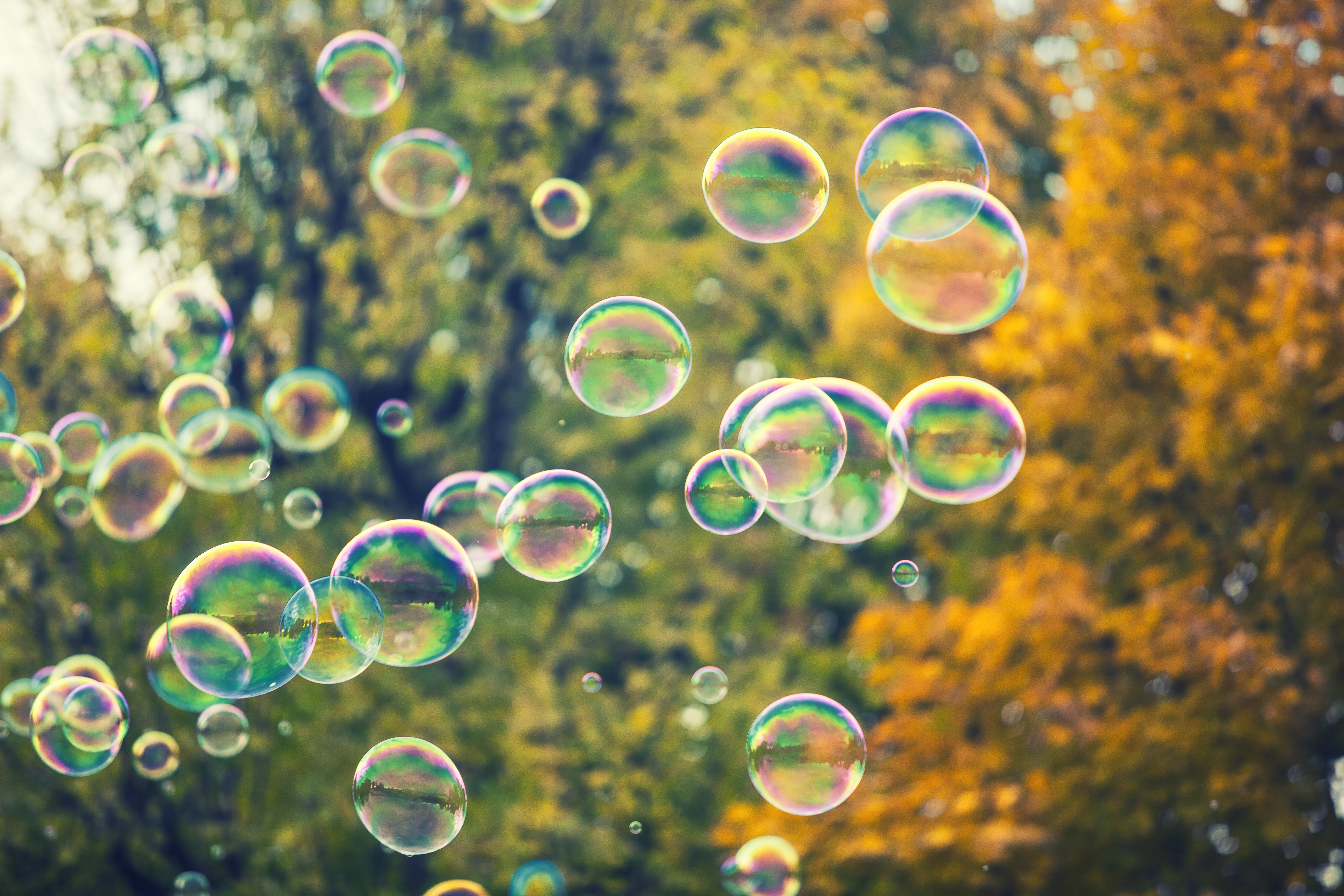 Winston Porter Soap Bubbles - Wayfair Canada