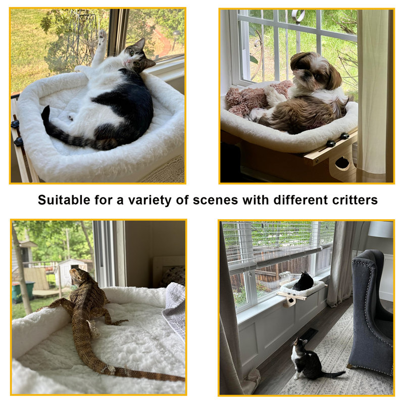 Tucker Murphy Pet™ Cat Window Perch Bed & Reviews | Wayfair