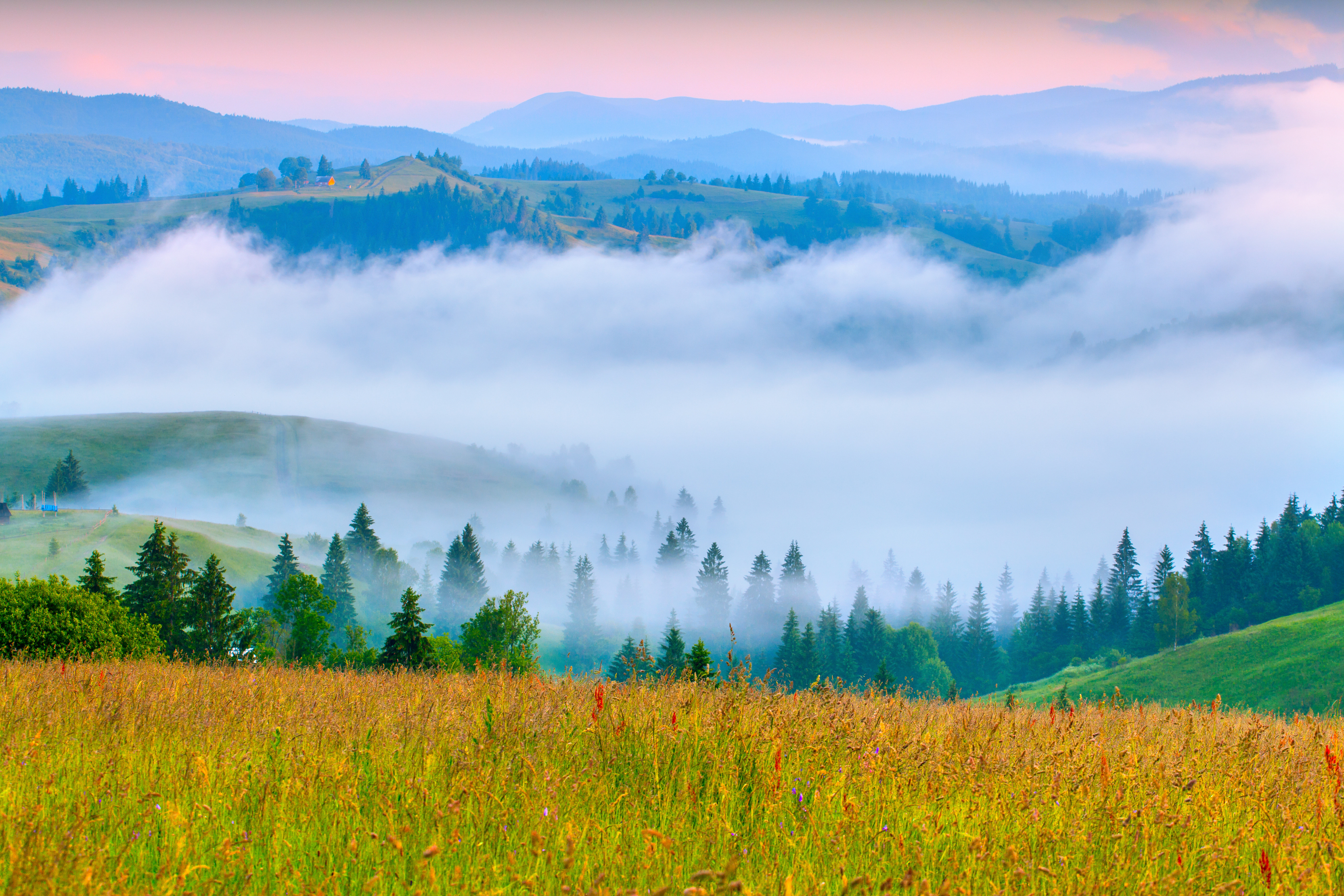 Alpen Home Foggy Mountains by Andrew Mayovskyy - Wrapped Canvas Art ...