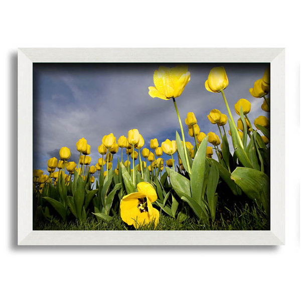 Latitude Run Yellow Daisy Storms - Single Picture Frame Print | Wayfair ...