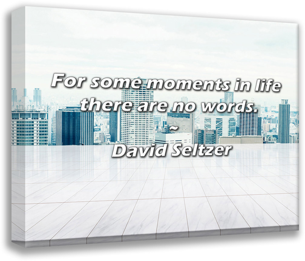 Trinx David Seltzer Quote: For some moments in life there are no words ...