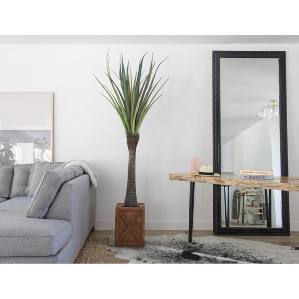 Laura Ashley Panama Agave Plant in Planter & Reviews | Wayfair