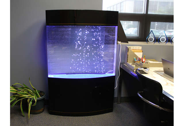 Fish Tank Sizes & Types: How to Choose the Right Aquarium | Wayfair