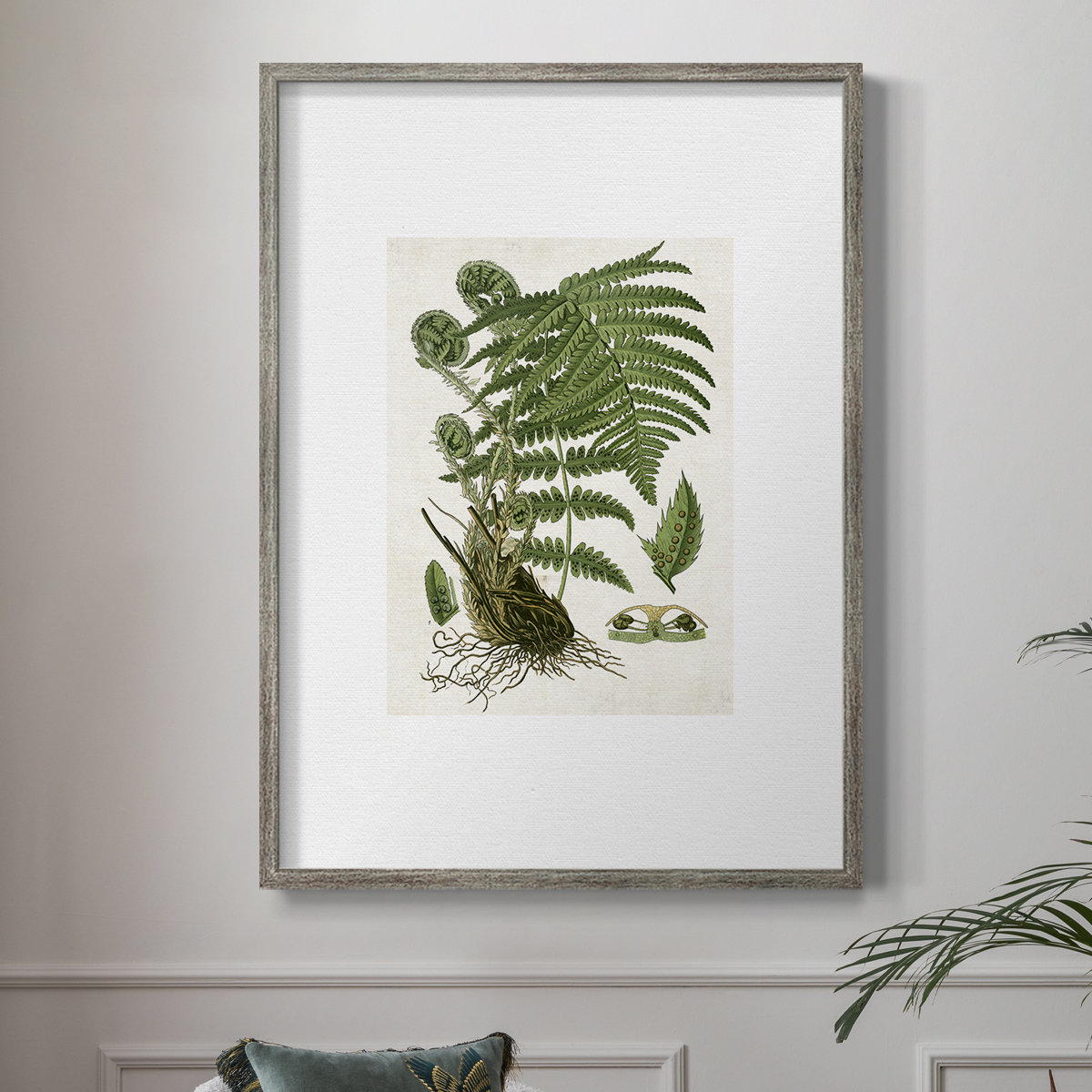 Winston Porter Fern I Framed Print - Solid Wood | Wayfair