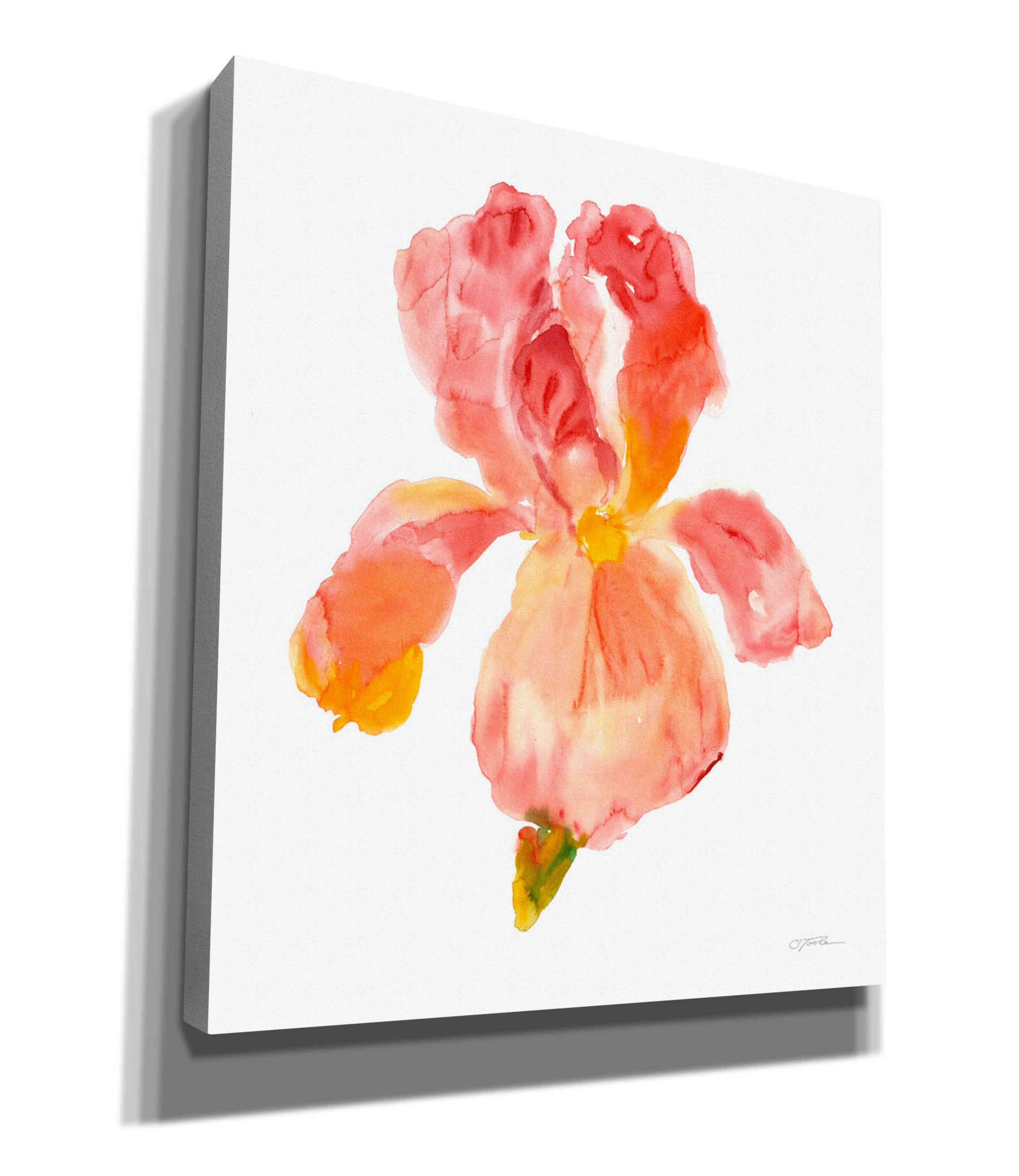 Orren Ellis Sunset Blooms II' By Tim O'toole, Canvas Wall Art | Wayfair