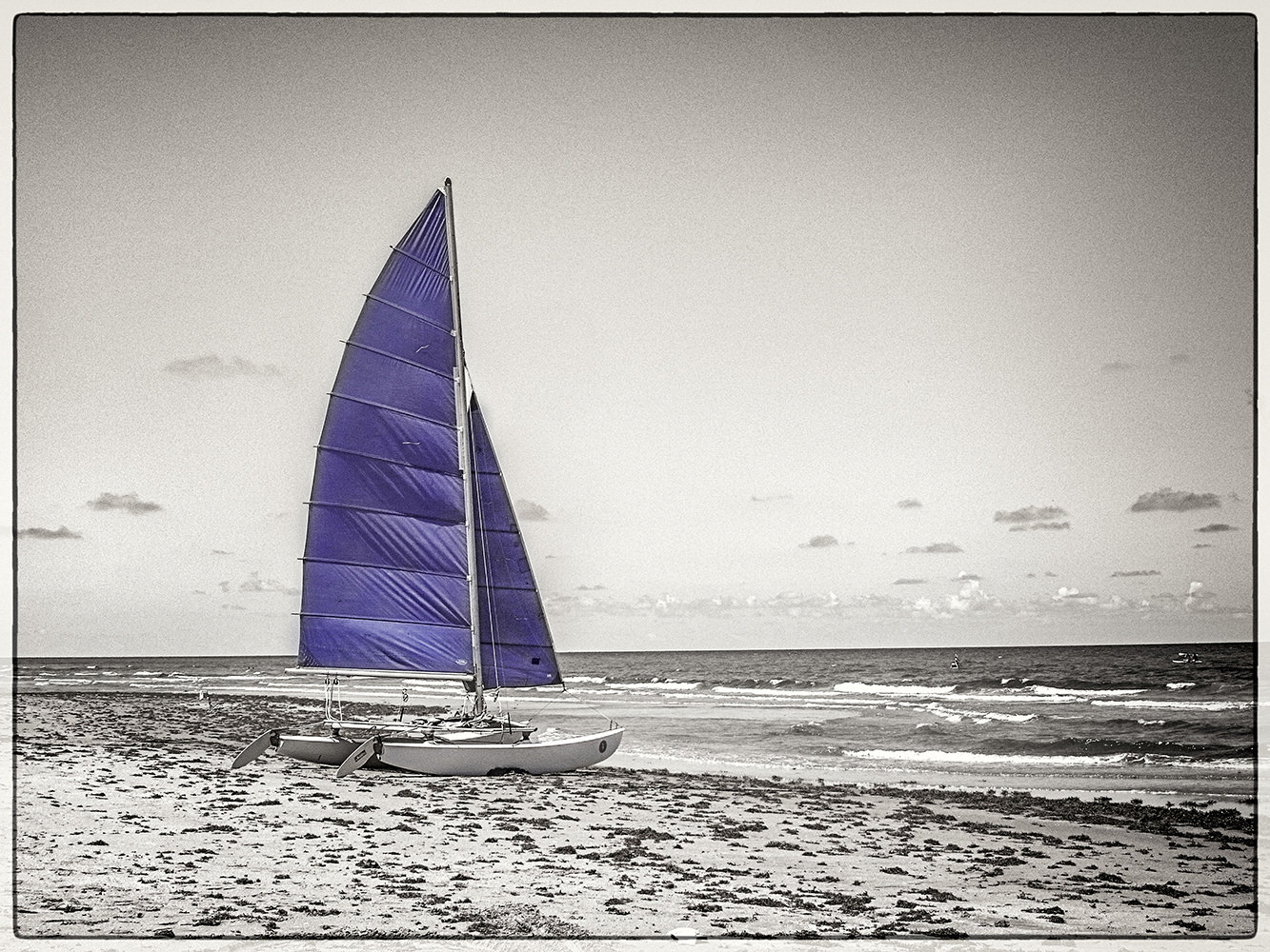 Breakwater Bay Blue Catamaran by Flo Minton - Wrapped Canvas Photograph ...