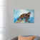 Bay Isle Home Floating Sea Turtle by Kim Winberry - Wrapped Canvas ...