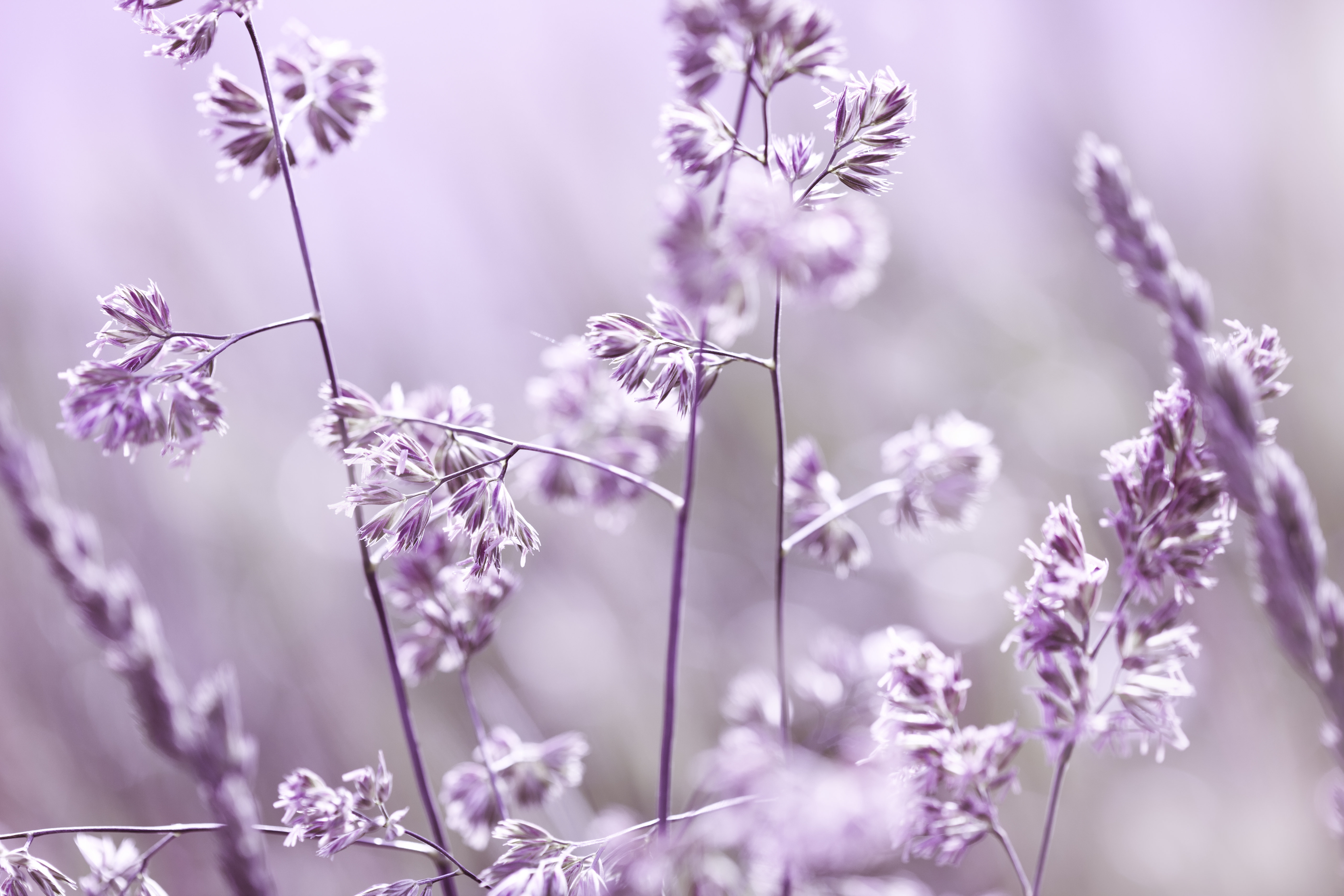 Ebern Designs Nature Background by Jasmina007 - Wayfair Canada