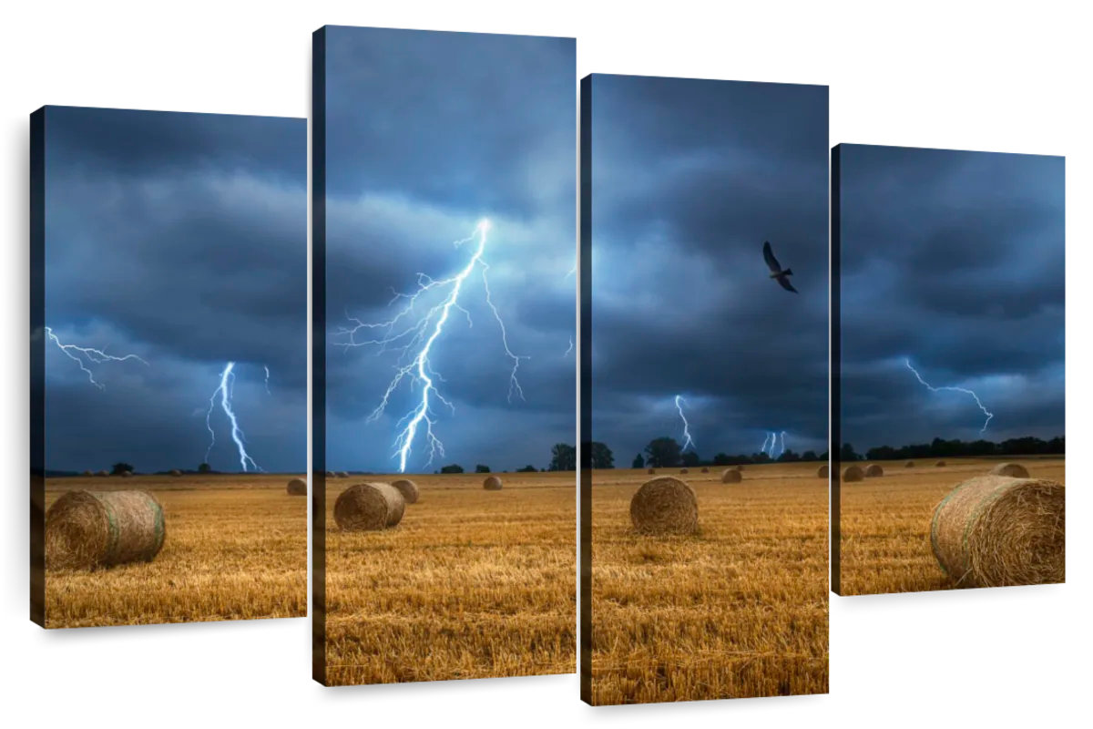 Elephant Stock Lightning Over Field | Wayfair