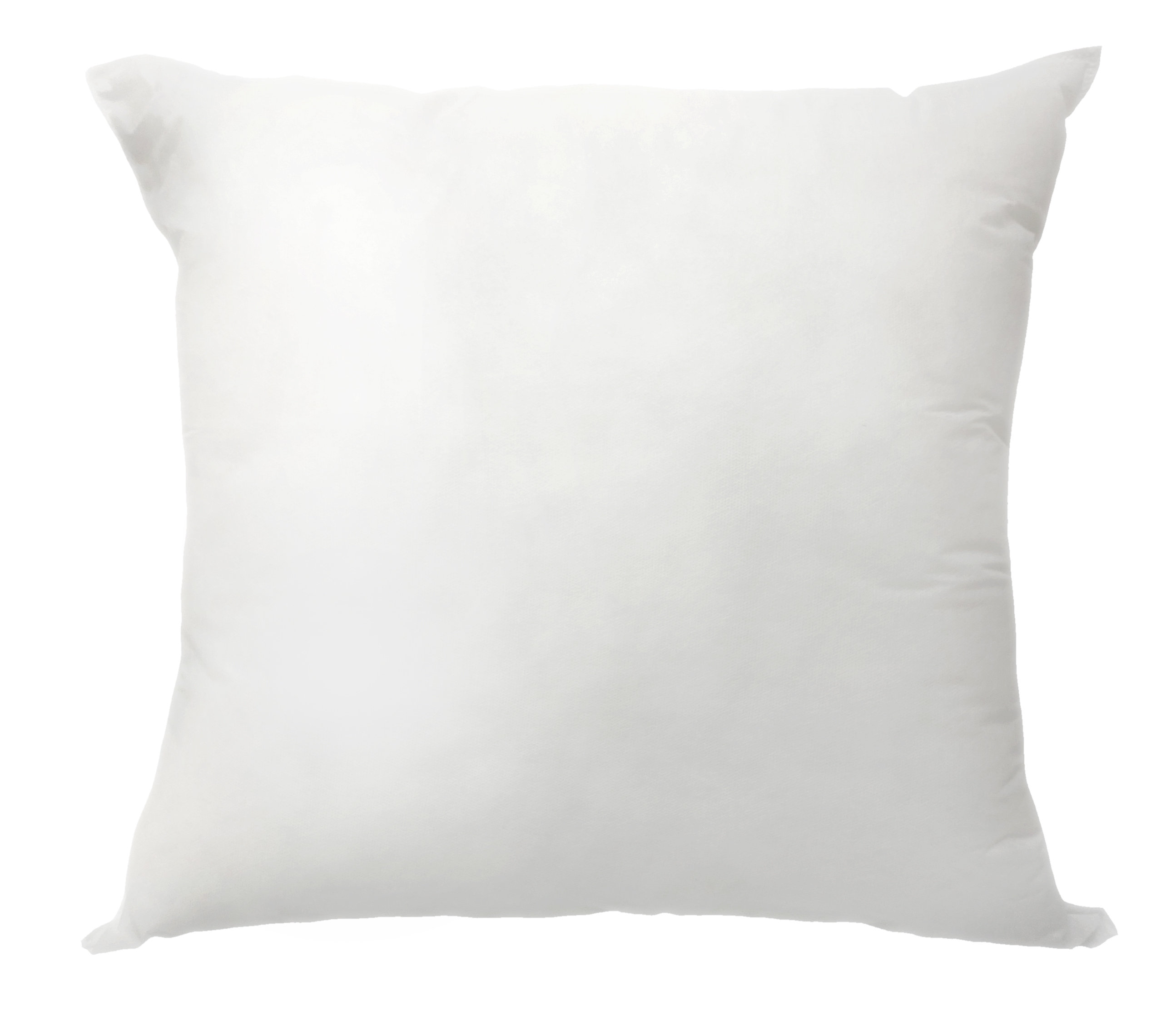 Rajani Home Polyfill Indoor / Outdoor White Rectangular Lumbar Pillow Insert & Reviews - Wayfair ...