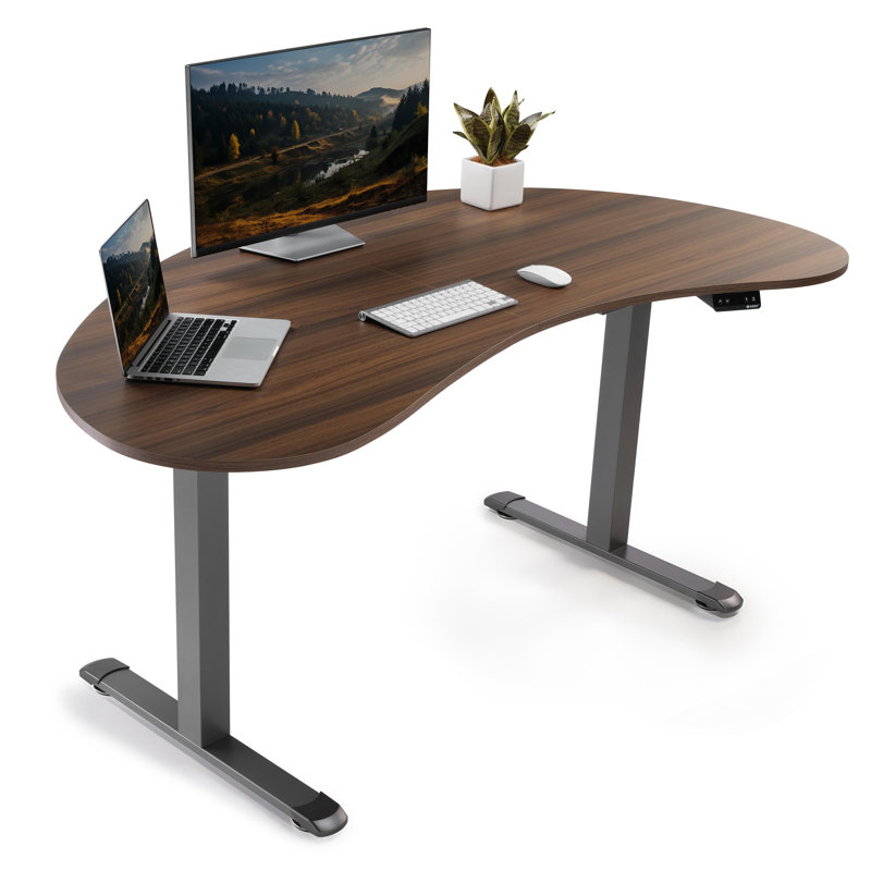 The Twillery Co.® Rachedi 70'' W Cashew Shape Height Adjustable ...