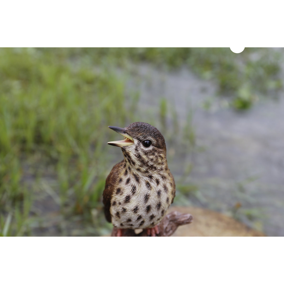 Hi-Line Gift Ltd. Songbird Standing on Stump Statue & Reviews | Wayfair