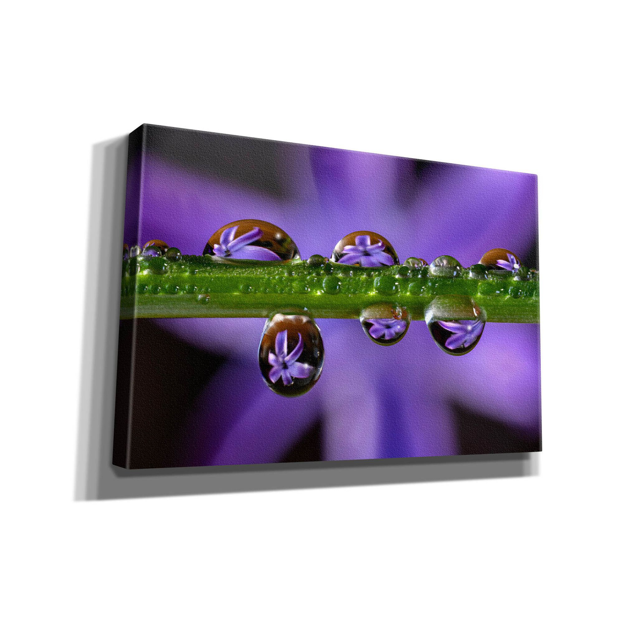 Latitude Run® 'Purple Hyacinths 01' By Gordon Semmens, Canvas Wall Art ...
