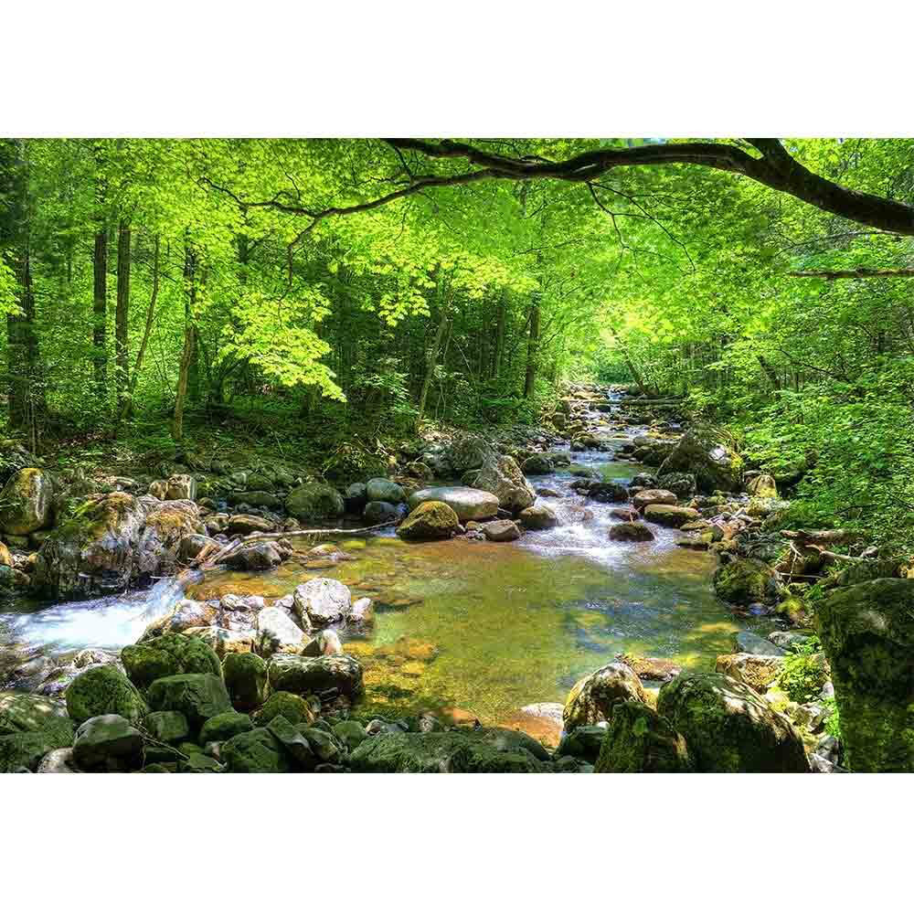 IDEA4WALL Fall Forest Stream Smolny in Russian Primorye Reserve ...