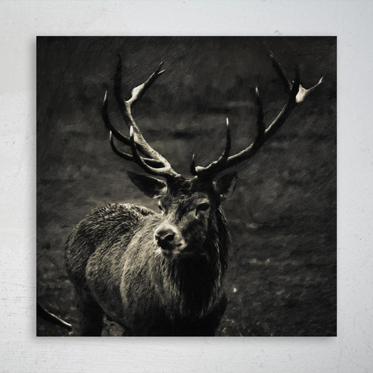 Loon Peak® Grayscale Photography Of Deer On Canvas Print - Wayfair Canada