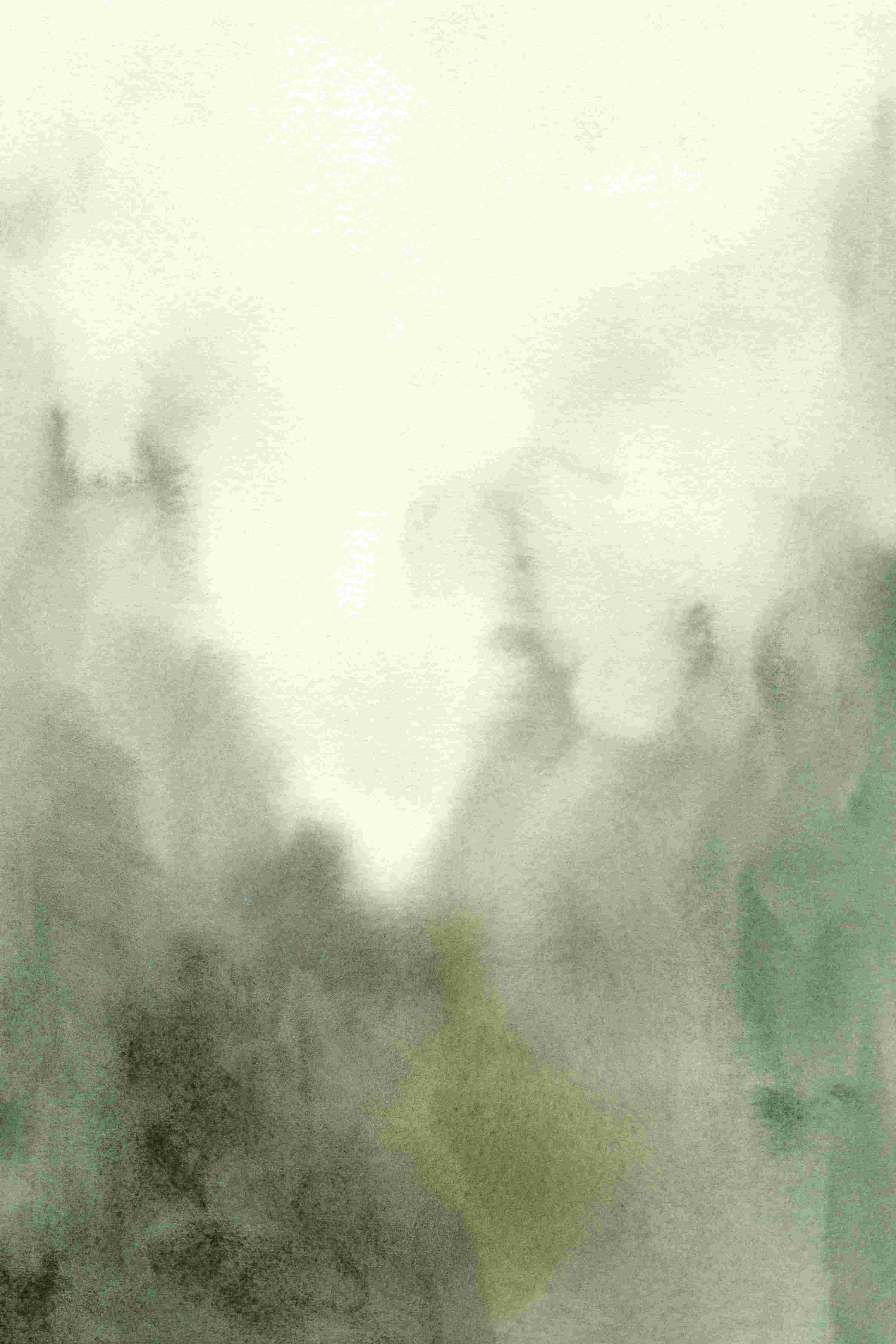 Wrought Studio™ Verdant Fog I by Emma Caroline - Wrapped Canvas ...