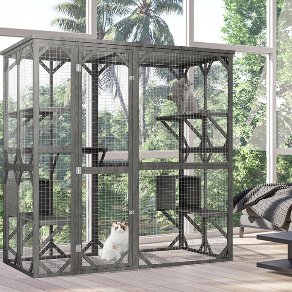 Tucker Murphy Pet™ Cat Playpen Outdoor Cat Enclosures & Reviews | Wayfair