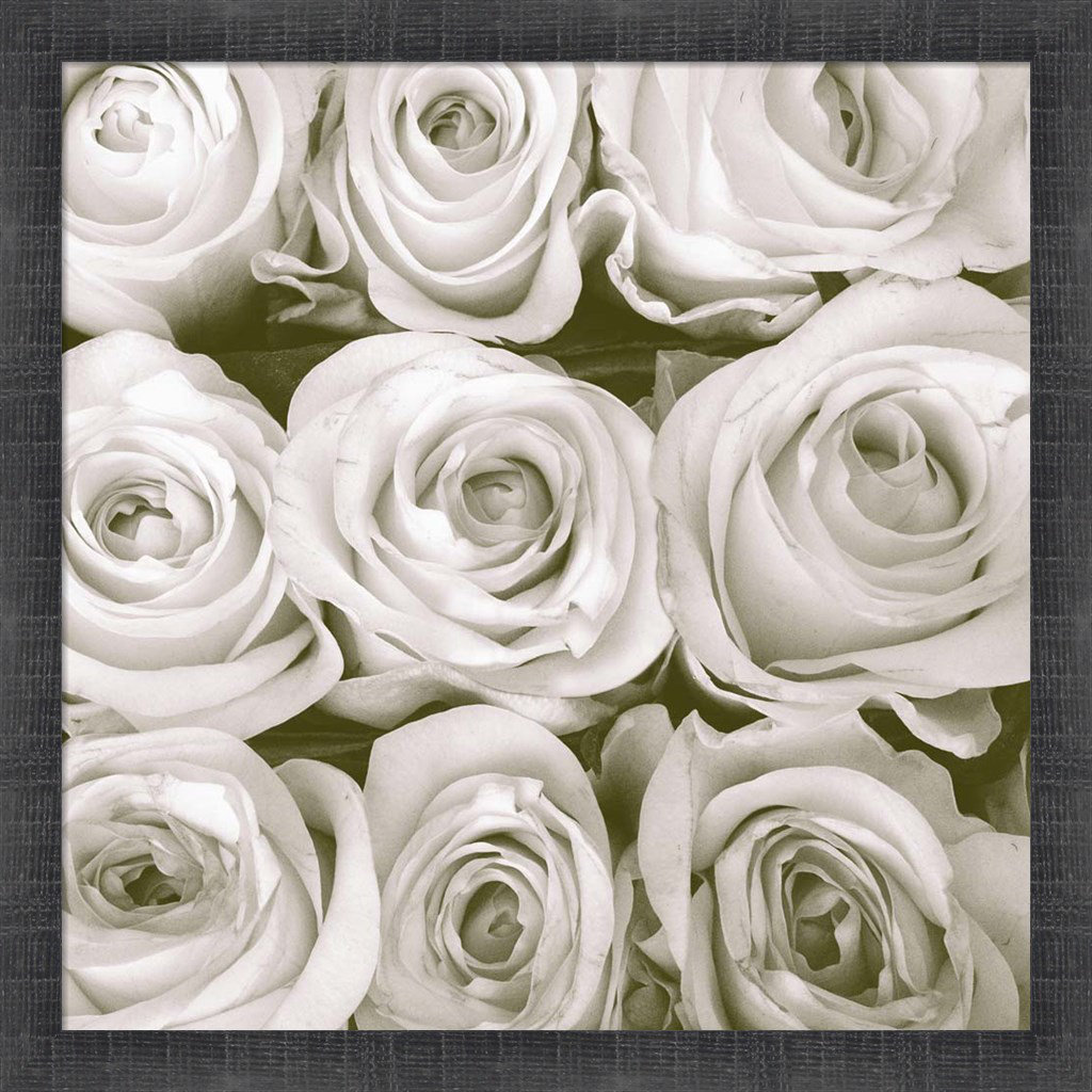 Rosdorf Park Rose In Bloom Square By Gail Peck, Framed Wall Art | Wayfair