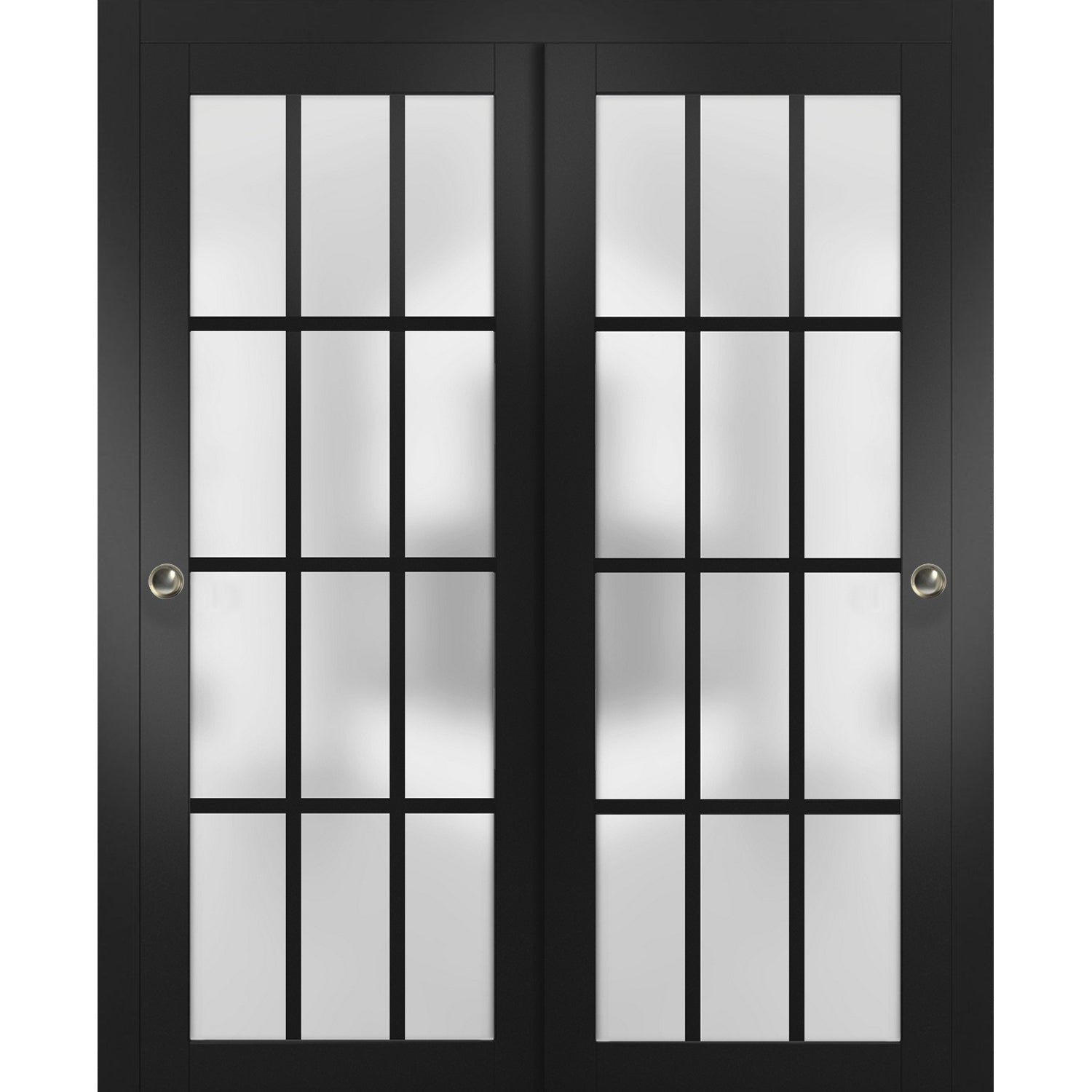 SARTODOORS Felicia Frosted Glass Sliding Closet Black Doors | Wayfair