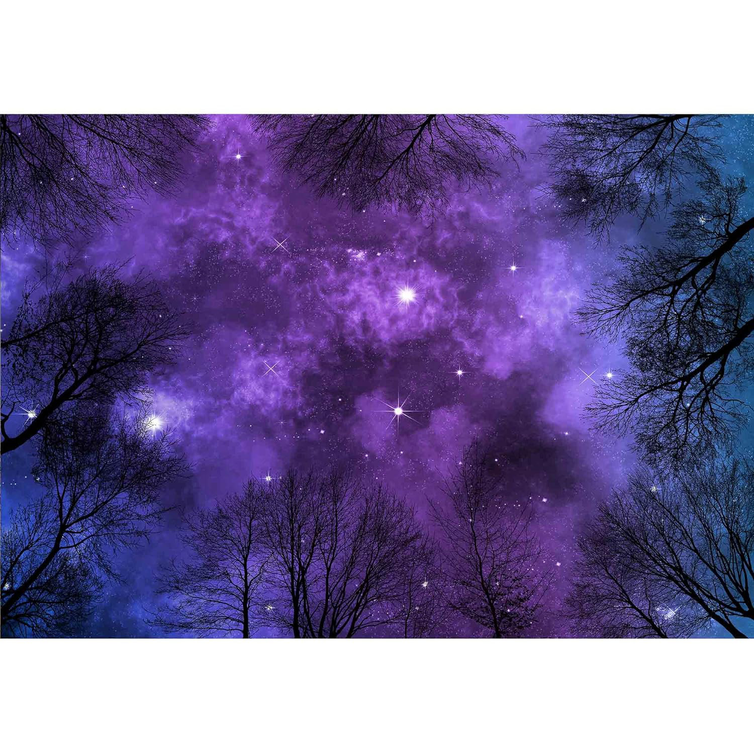 IDEA4WALL Colorful Nebula on Starry Night Sky in Forest View Through ...