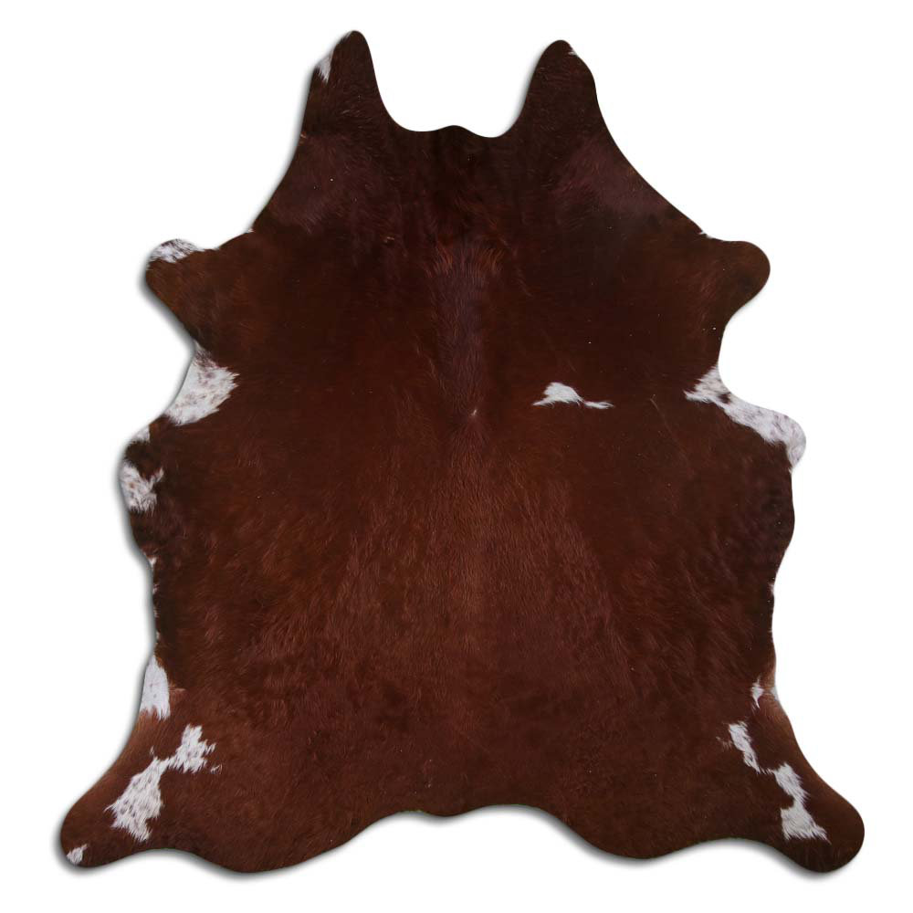 Foundry Select Tapis en cuir de vache Novelty 5 pi x 7 pi Tayne Novelty ...