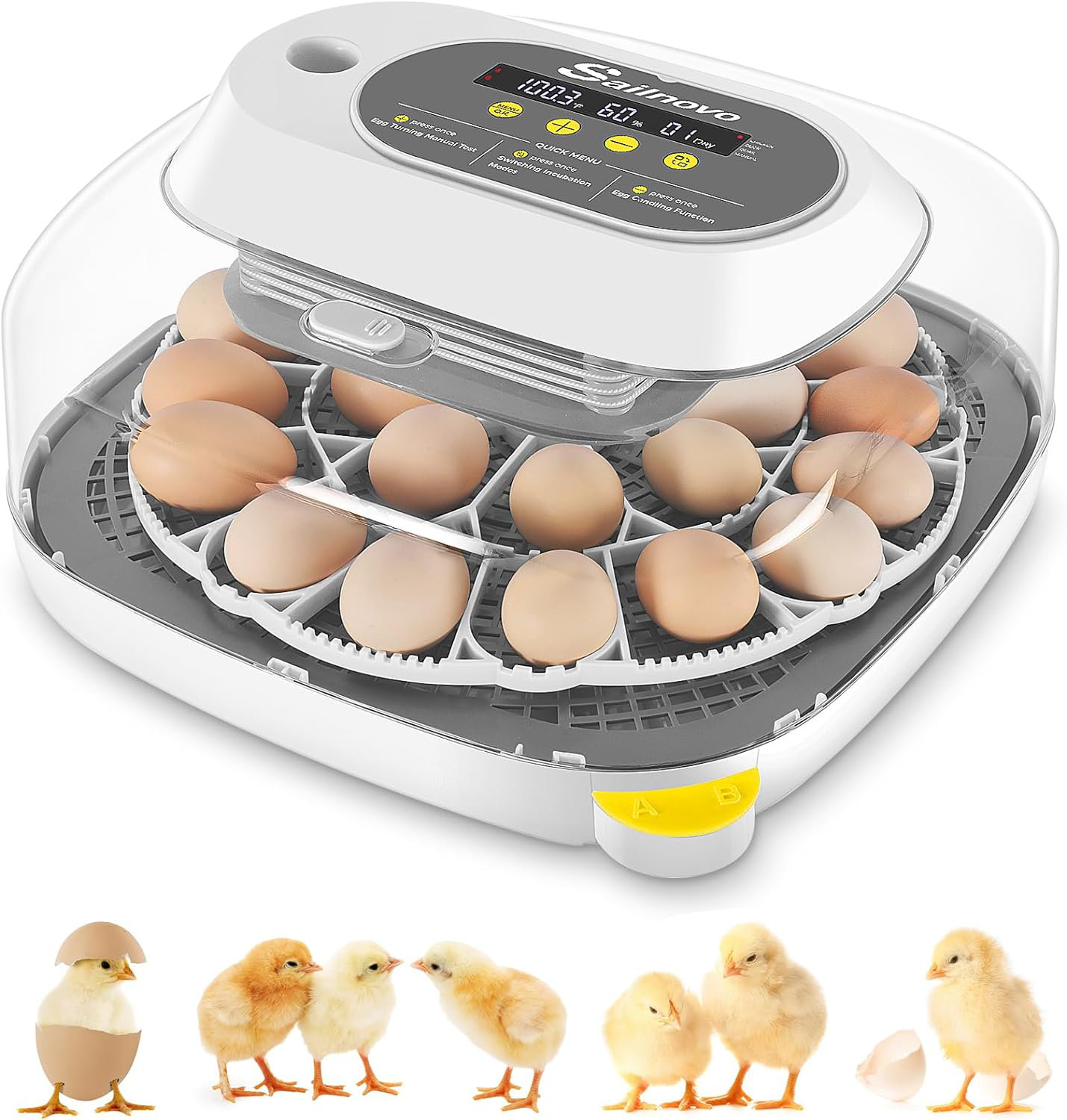 duck egg hatching kit