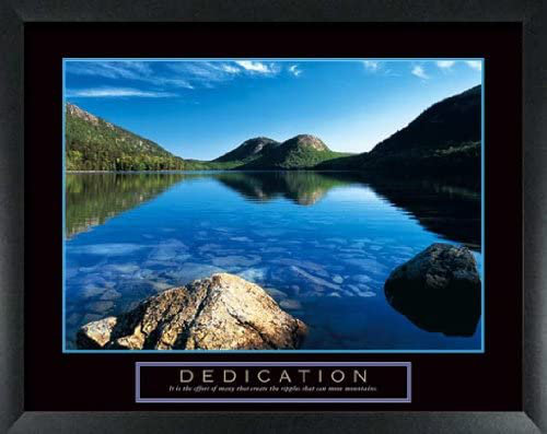 Ebern Designs Motivational Office Decor: Dedication 22X28 Inch Framed ...