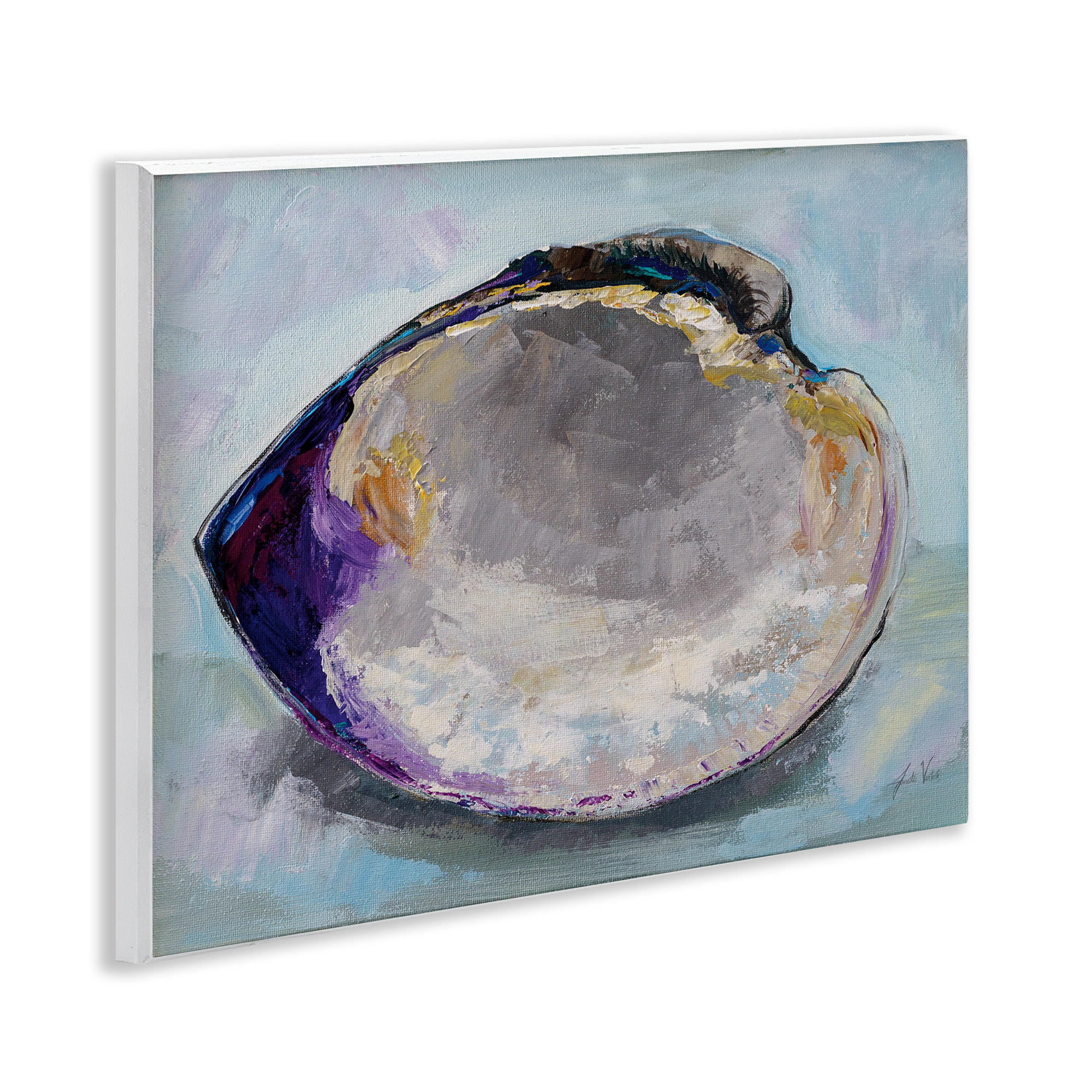 Highland Dunes Baby Clam Shell Wall Plaque Art by Jeanette Vertentes ...