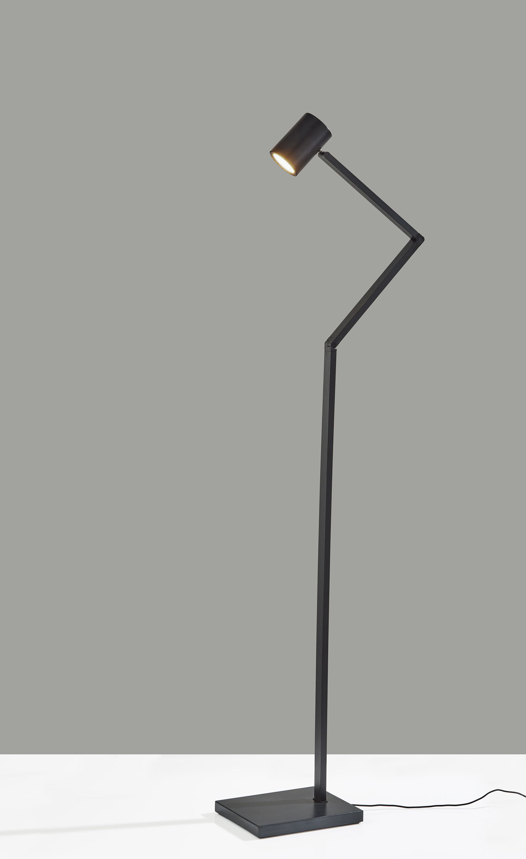 AllModern Dalila 48" LED Task Floor Lamp | Wayfair