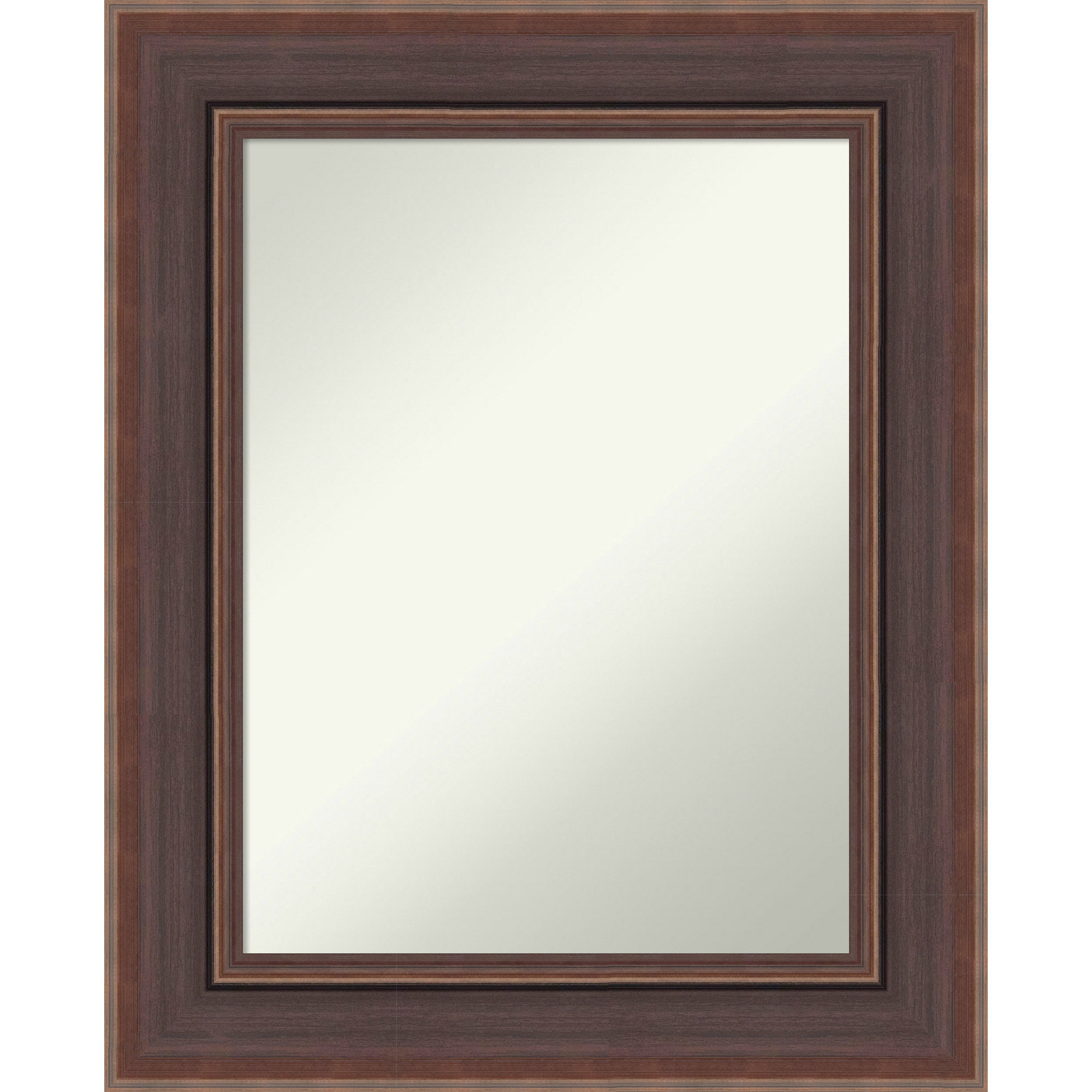 Amanti Art Moab Brown Bronze Non-Beveled Framed Bathroom Vanity Wall ...