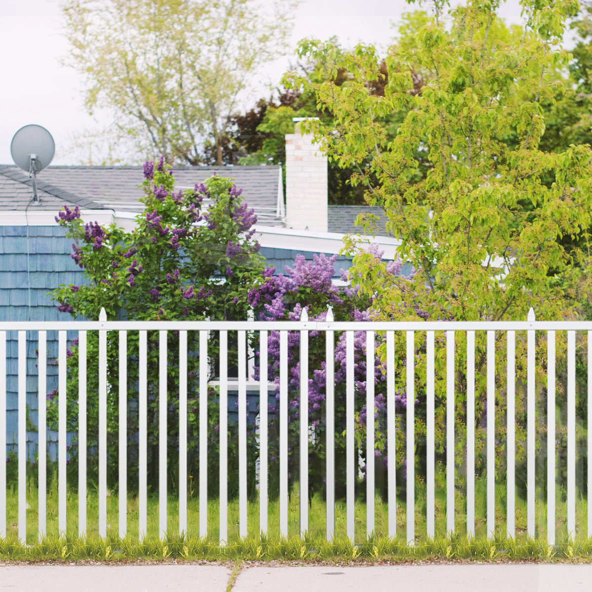 Dovelina Vertical Stripe Vinyl Fence 40"X 80" & Reviews | Wayfair