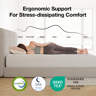 Home Sweet Memory Foam Mattress & Reviews | Wayfair