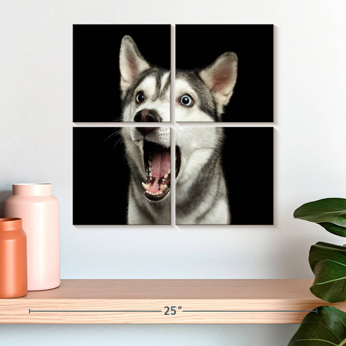 Ebern Designs Brampt Surprised Siberian Husky | Wayfair