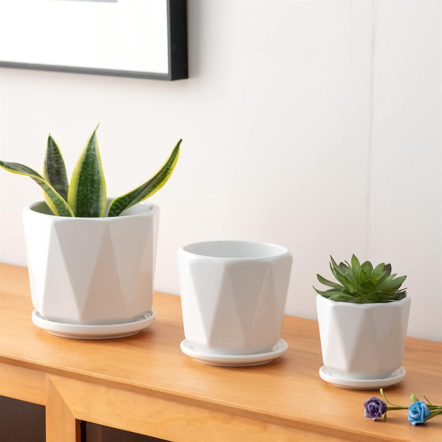 Ebern Designs Octagon Ceramic Plant Pots - Indoor White Flower Planter ...